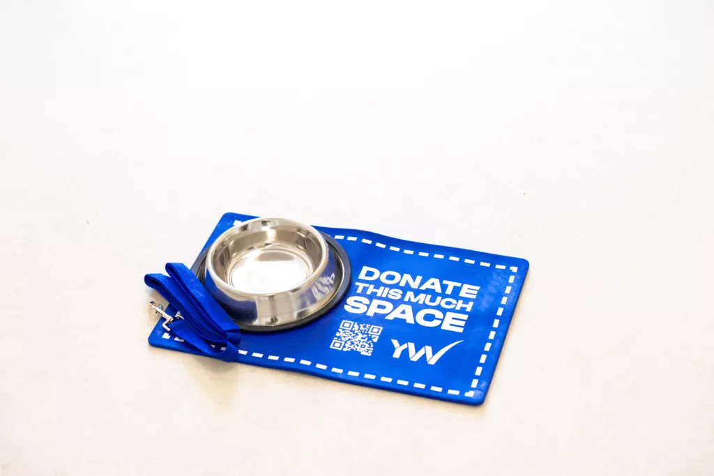 Support Domestic Violence Survivors With Pets